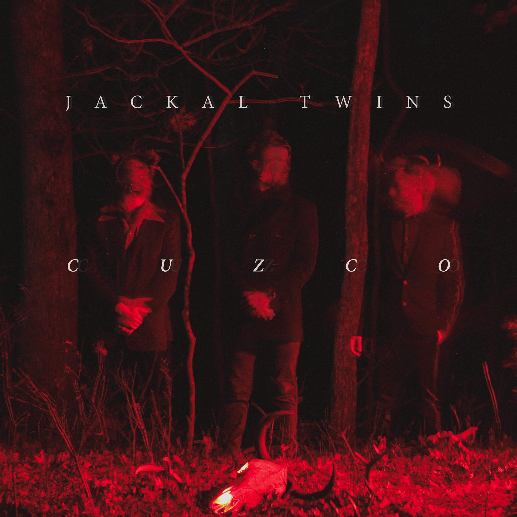 Jackal Twins Deliver a Chaotic Masterpiece with Cuzco – Apricot Magazine
