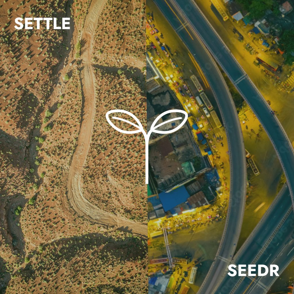 SEEDR Plants the Future of Liquid DnB with “Settle” – Apricot Magazine
