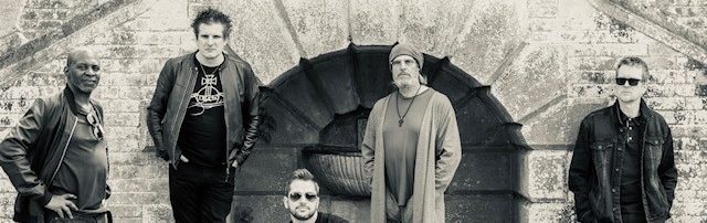 Funka Rock n Rolla and the Feel Good Firepower of The Mustard – Apricot ...